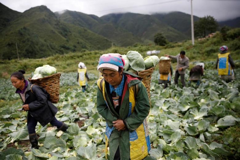 Xi push to end poverty underpins party support in rural China | The ...