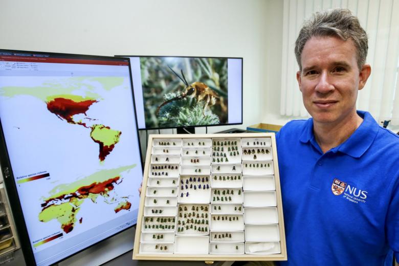 Researcher from Singapore helps create first map charting bee species ...