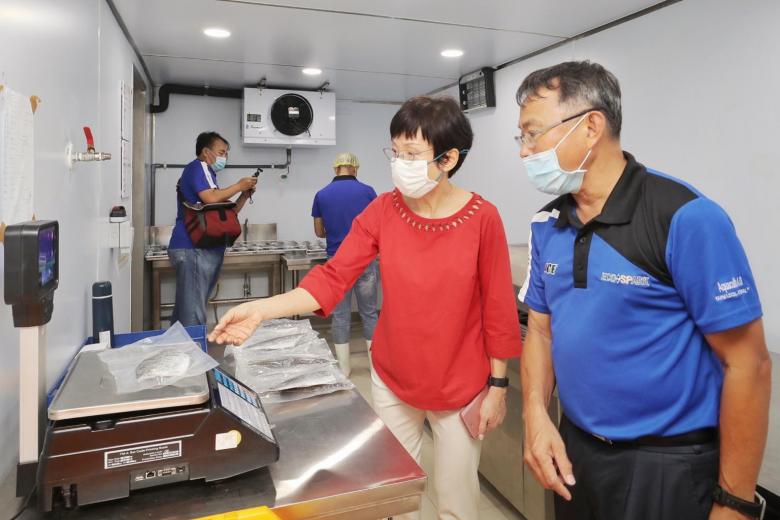 High-tech fish farm first in Singapore to have own post-harvest ...