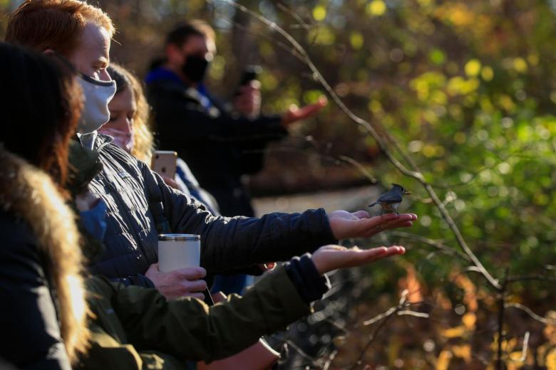 Birding is hottest hobby in socially-distanced New York | The Straits Times