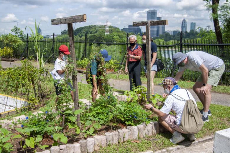 Urban farms: Learn about wartime foods on Sentosa | The Straits Times