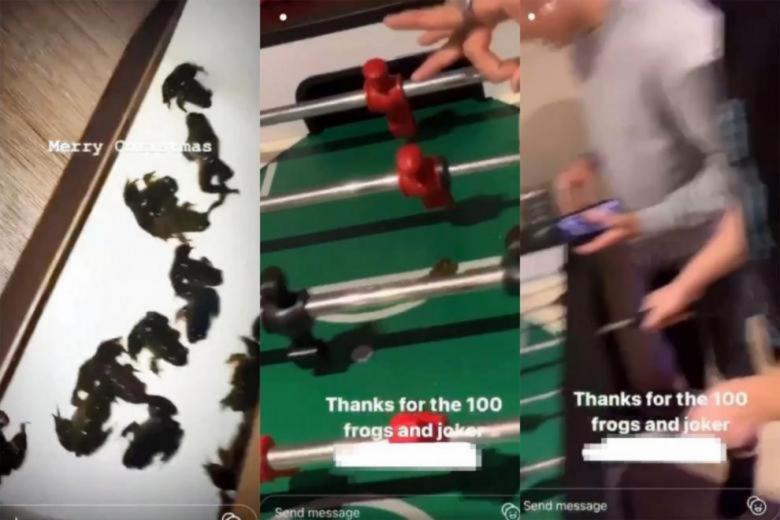 Teens in animal cruelty probe over use of frogs in foosball | The ...