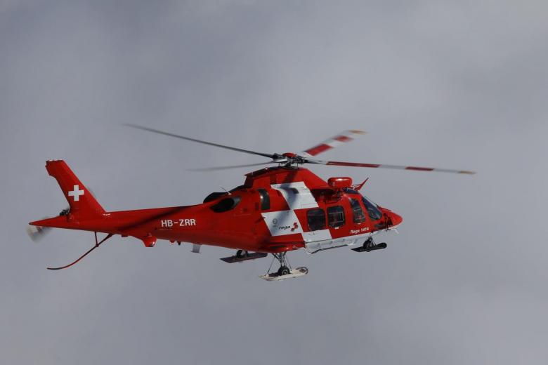 Dogs' barking prompts owners' rescue from Swiss avalanche | The Straits ...