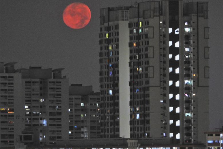 Your picture: There's a red moon on the wane | The Straits Times