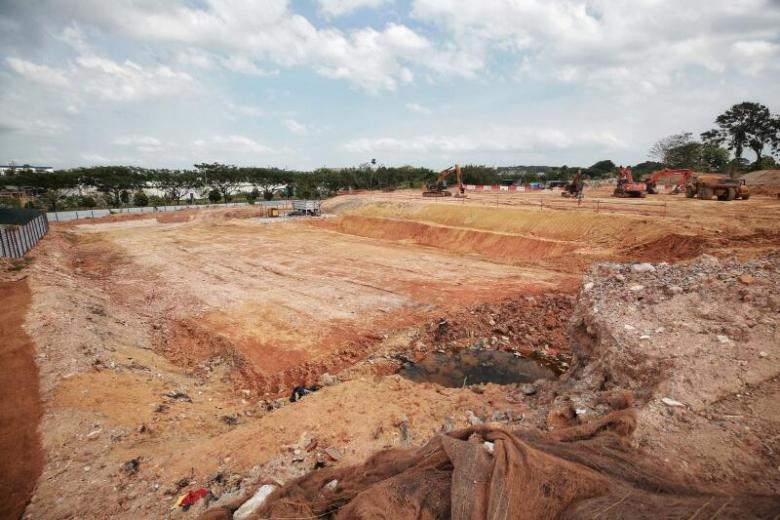Outcry over Kranji woodland clearing reflects love of nature, fears of ...