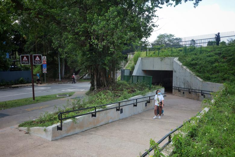 4km Rail Corridor stretch between Hillview and Bukit Timah reopens with ...
