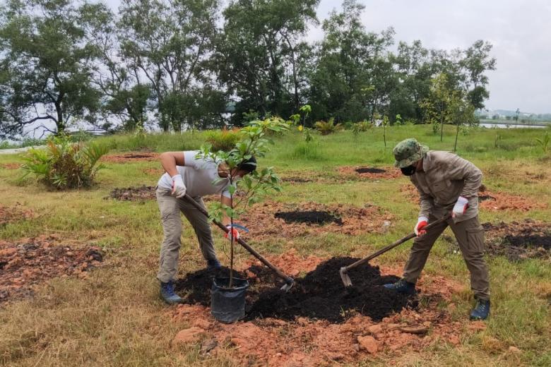 ScienceTalk: A million trees more for a City in Nature | The Straits Times