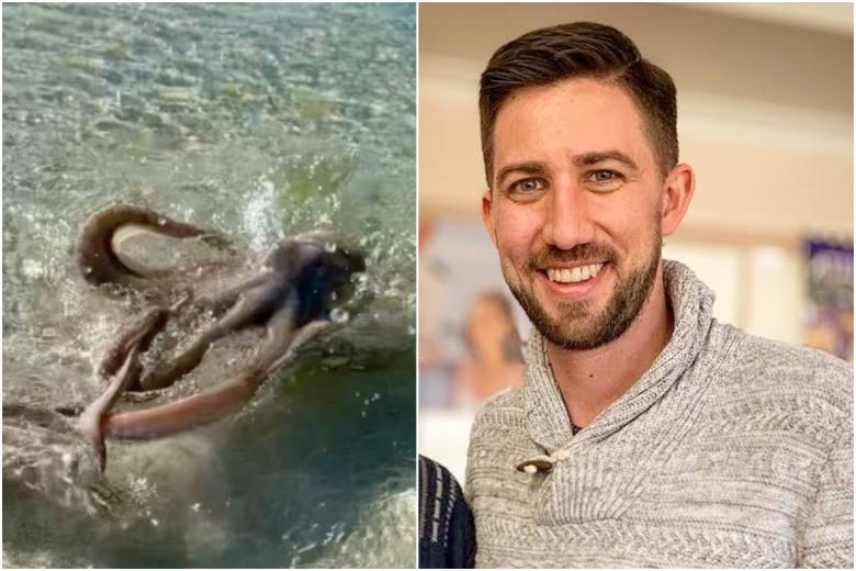 'Angriest octopus' lashes out at man on Australia beach | The Straits Times