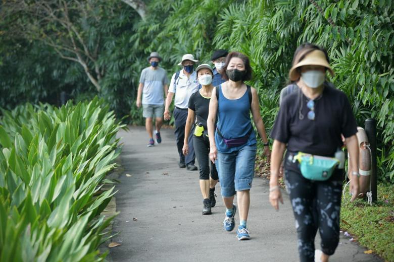 Life Weekend Picks Podcast: Discover forest bathing and Rail Corridor's ...