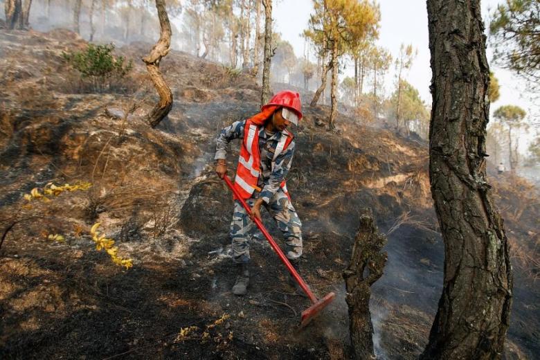 Forest fires mount in Indian Himalayan state and climate change blamed ...