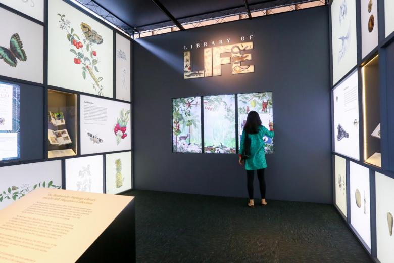 Arts Picks: Exhibitions at National Library, Esplanade | The Straits Times
