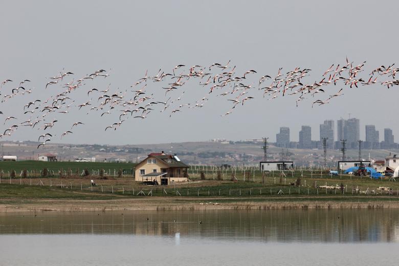 Climate shifts and rising demand leave Turkey battling growing water ...