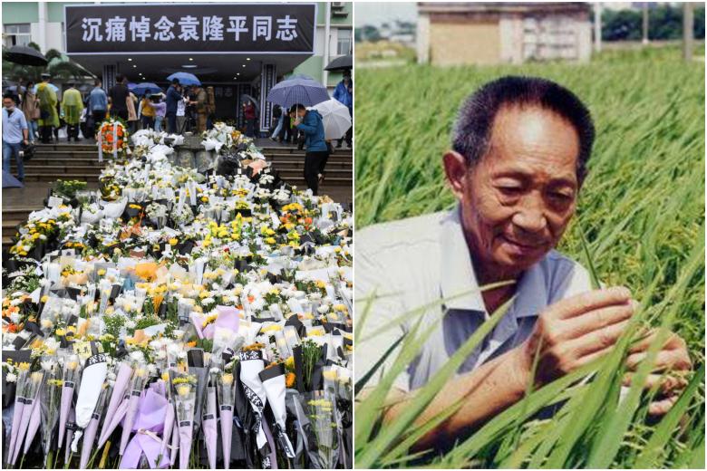 China tearfully bids farewell to 'father of hybrid rice' scientist Yuan ...