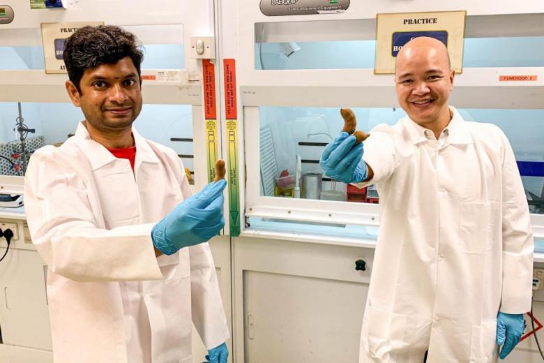 NTU-led team uncovers way to use tamarind shells to conduct electricity ...