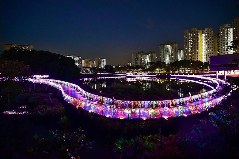 Light up for National Day | The Straits Times