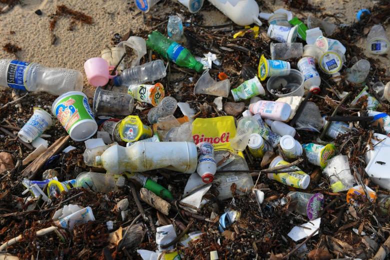 Two-year study under way to look into marine litter and microplastics ...
