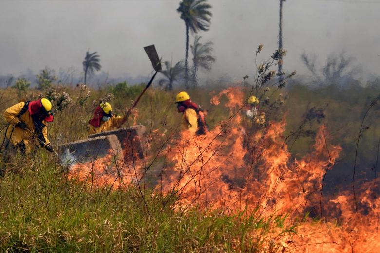 Forest fires in Bolivia consume vast area | The Straits Times