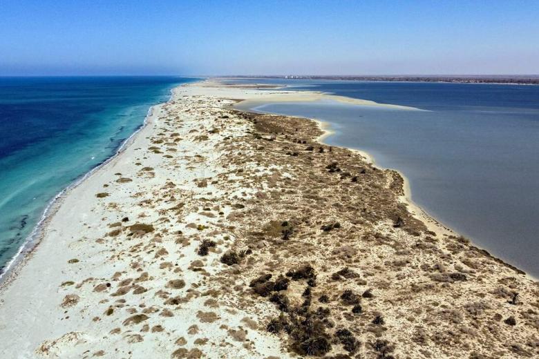 Libya's wildlife treasure island at risk of ruin | The Straits Times