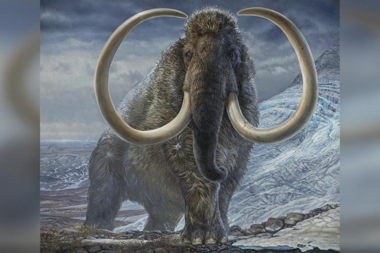 In the footsteps of a woolly mammoth, 17,000 years ago | The Straits Times