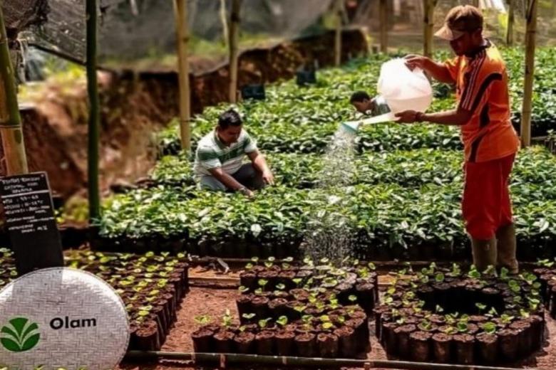 Olam picks London and Singapore for listing of food ingredients arm ...
