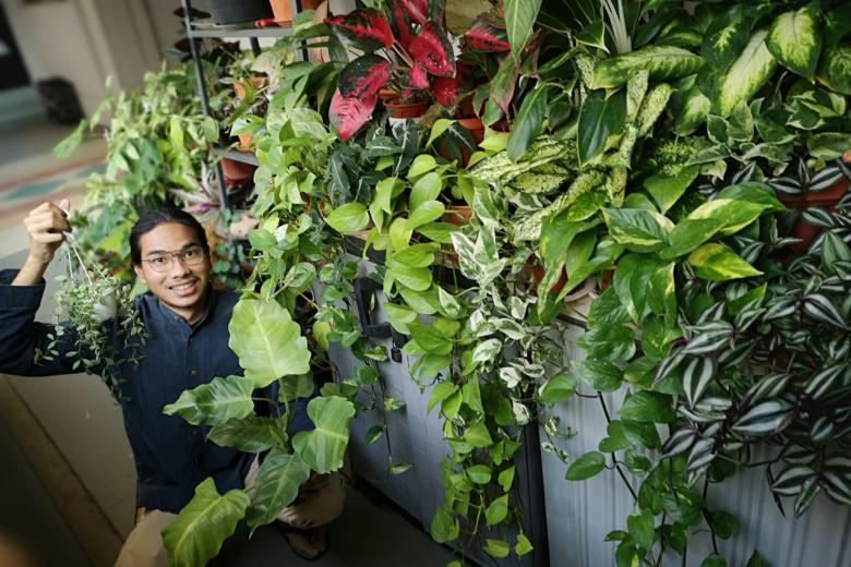 HDB corridor garden grew out of student's love of plants | The Straits ...