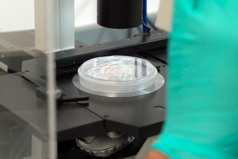 Biotech start-up TurtleTree inks deal to scale up production of its ...