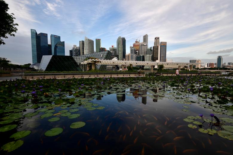 A warming Earth: What does it mean for life in the Lion City? | The ...