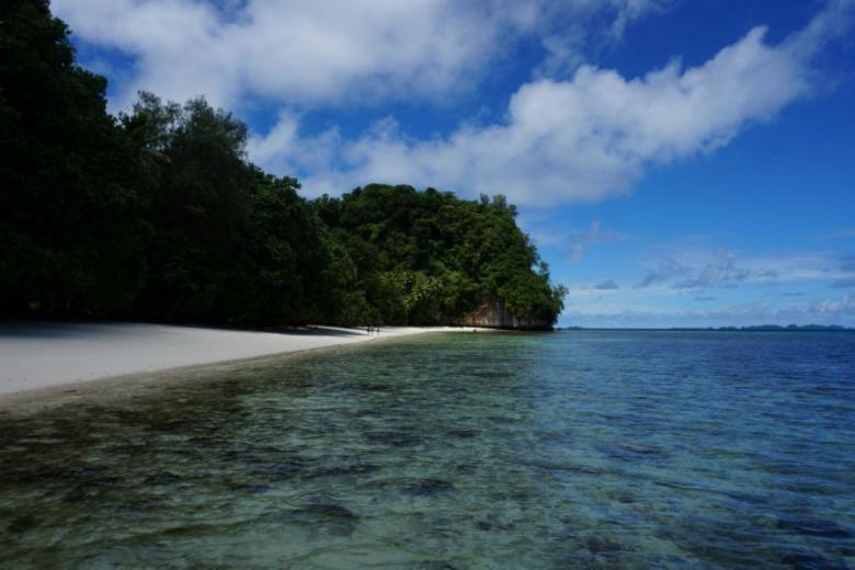 Palau loses virus-free status with first Covid-19 cases | The Straits Times