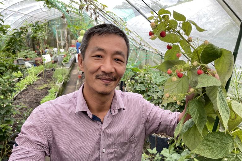 Edible gardens grow in Singapore | The Straits Times