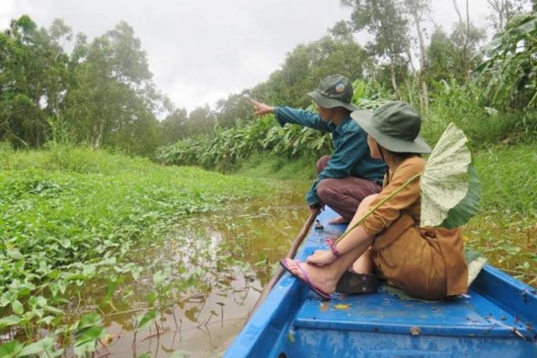World News Day: All hands on deck to preserve ecosystems in Vietnam's ...