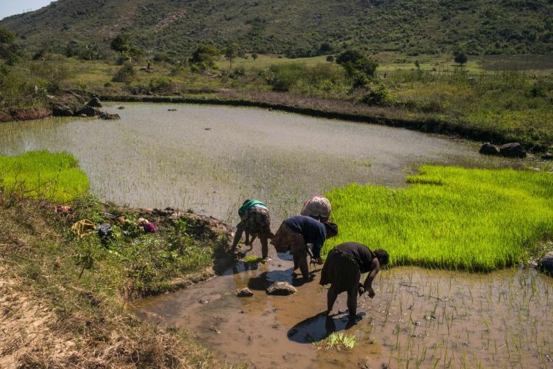 Madagascar drought is climate call for rich nations to act: Amnesty ...