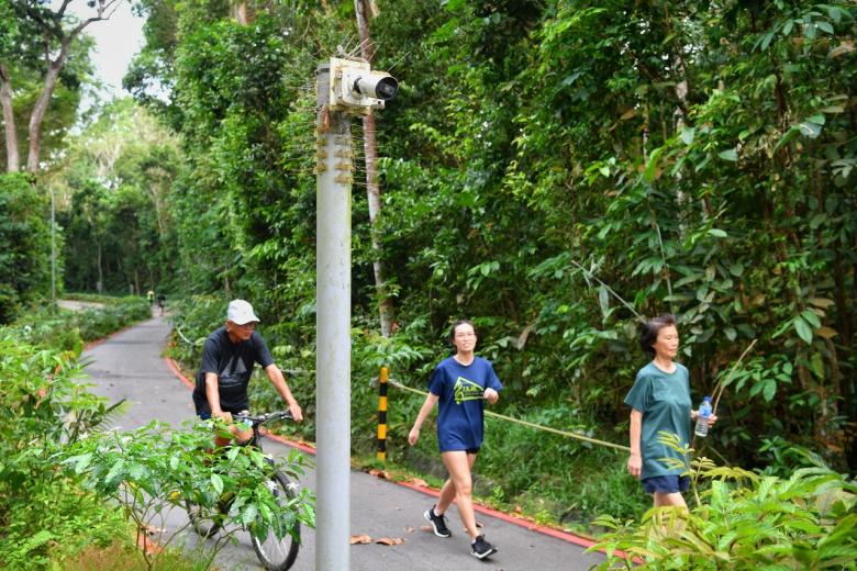 Animal detection system to be developed for Rifle Range Road in 2022 ...