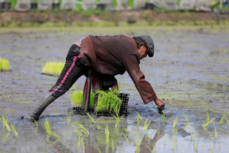 Thailand plans $6.8 billion aid for farmers hit by Covid-19, floods ...
