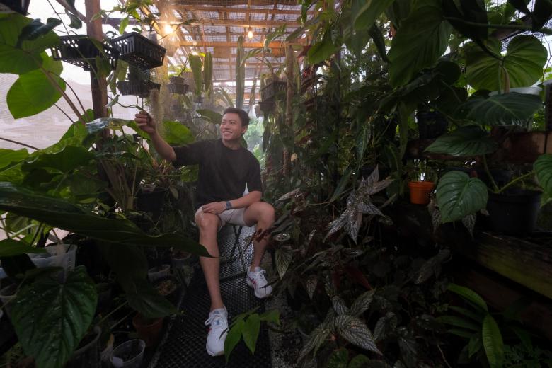 After his plants take over his bedroom, he builds them a house | The ...