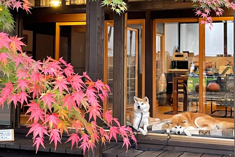 Get ready for 6 immersive experiences in Japan | The Straits Times