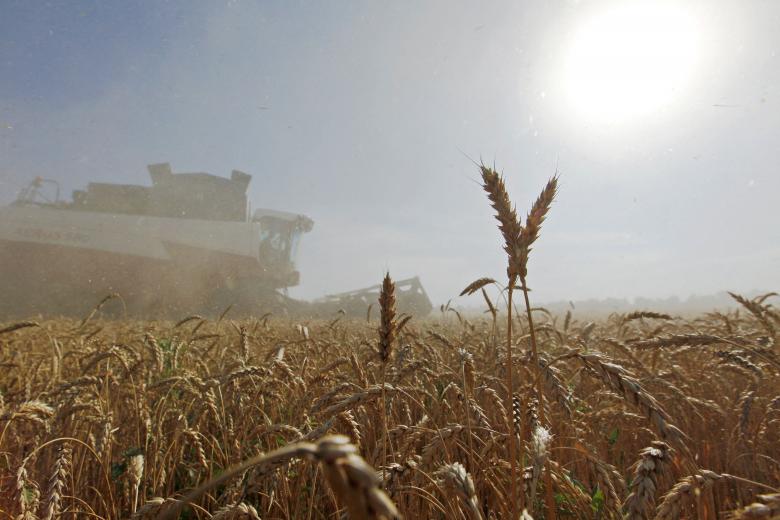 Ukraine war could delay EU sustainable farming plans | The Straits Times