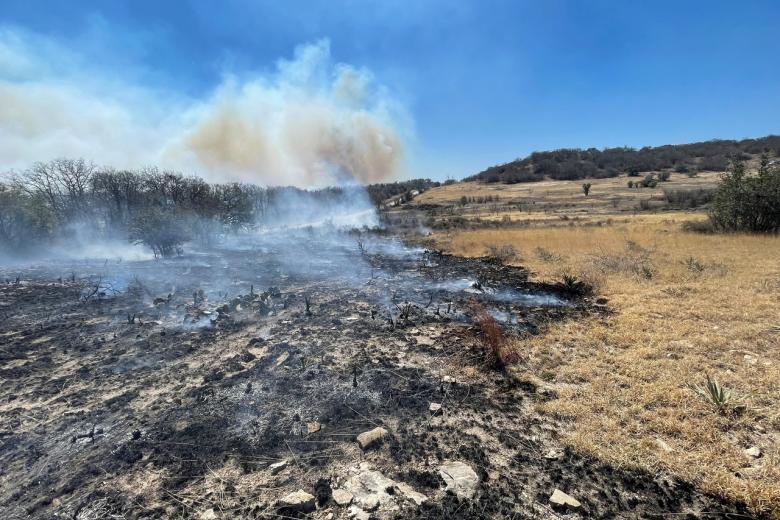 Houston braces for flooding and tornadoes as West Texas wildfires burn ...