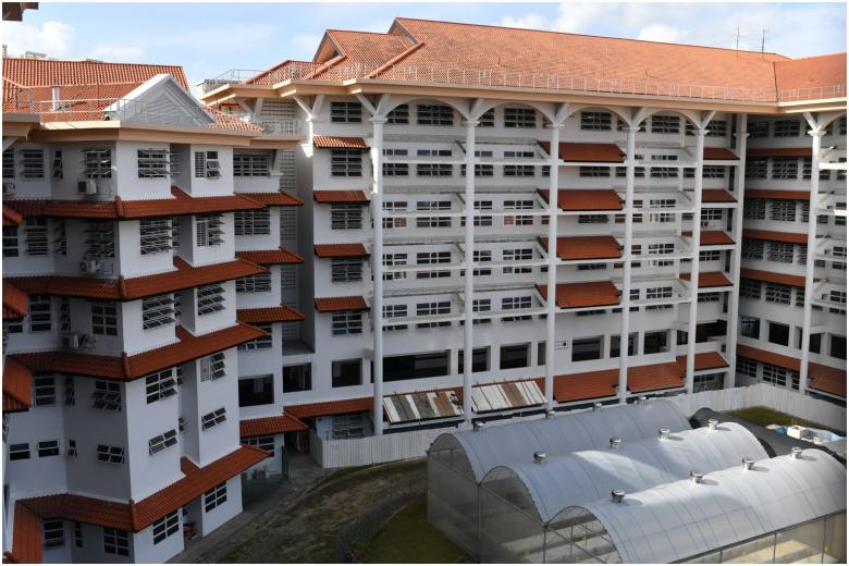 IMH aims to improve mental health, not just treat illness | The Straits ...