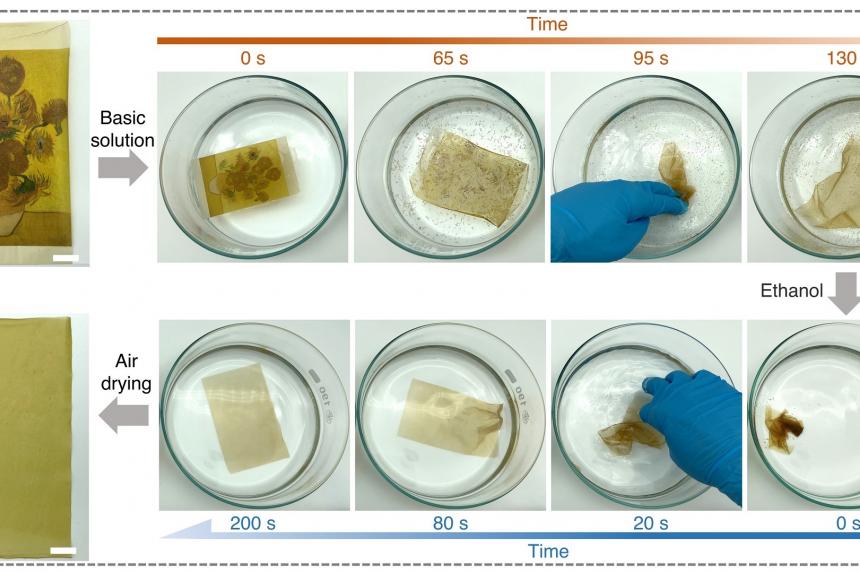 Pollen-based paper that can be printed and then 'unprinted' developed ...