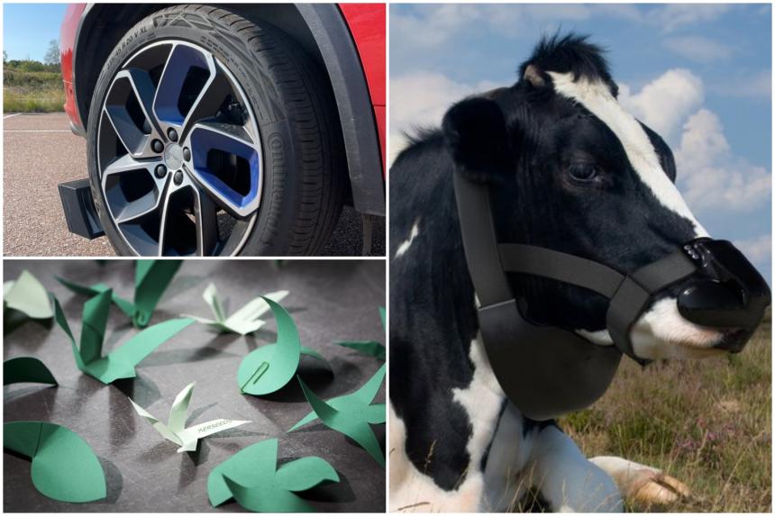 Mask for cows, tyre plastic trap win climate design award | The Straits ...