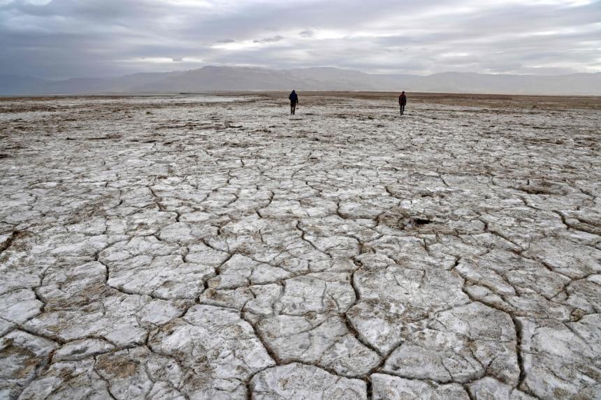 Earth's degraded land at 'breaking point': UN expert warns | The ...