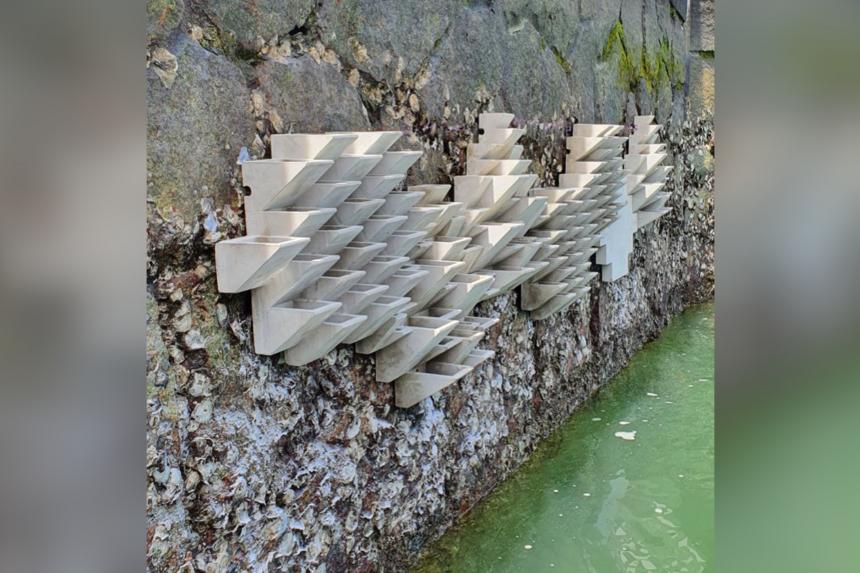 Tiles that support marine life added to seawalls in S'pore | The ...