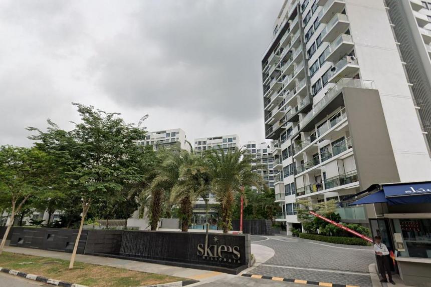 Condo unit owner ordered to remove unapproved structures | The Straits ...