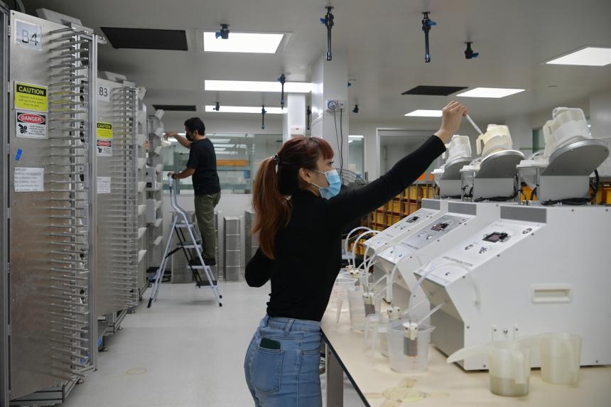 28,000 mosquitoes, 36 million eggs: A look at S'pore's Ang Mo Kio ...