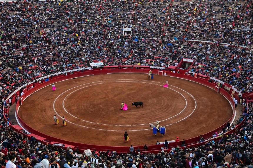 Bullfighting: Indefinite suspension of fights in Mexican venue | The ...