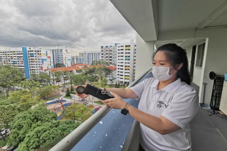 Project Wolbachia to be expanded to cover a third of HDB blocks from ...
