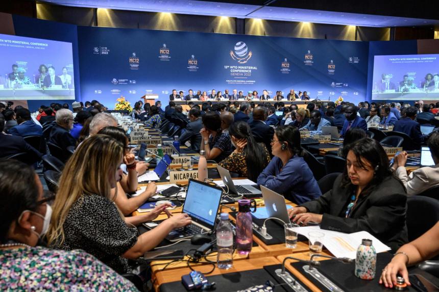 WTO able to achieve meaningful outcomes despite member states ...