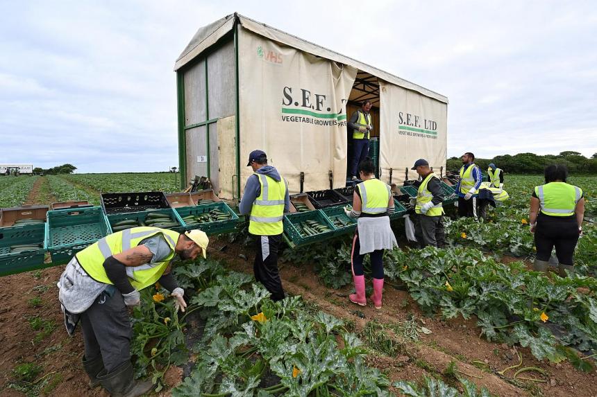 British farm recruiters shun Russians even as labour shortages bite ...
