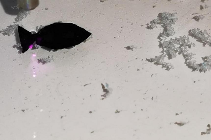 Chinese scientists develop robot fish that gobble up microplastics ...
