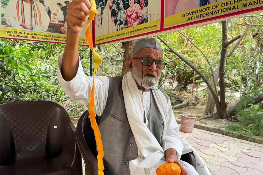 India's mango man, father of 300 varieties | The Straits Times